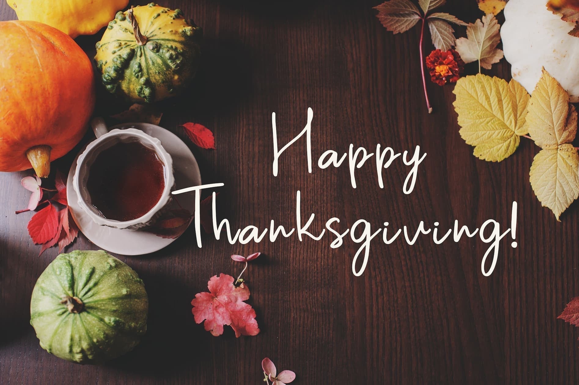 A Message Of Thanksgiving Gratitude – Arbor Teas