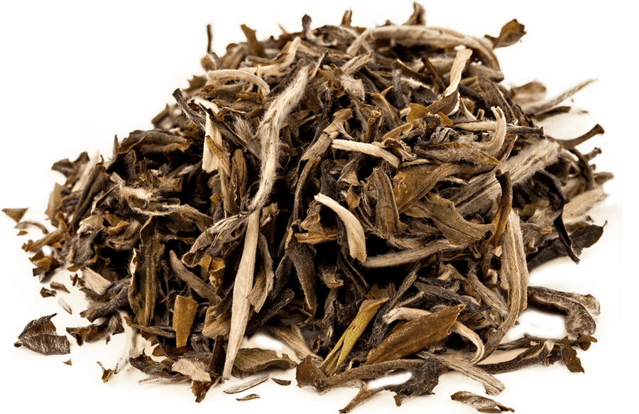 Organic Tea – Arbor Teas